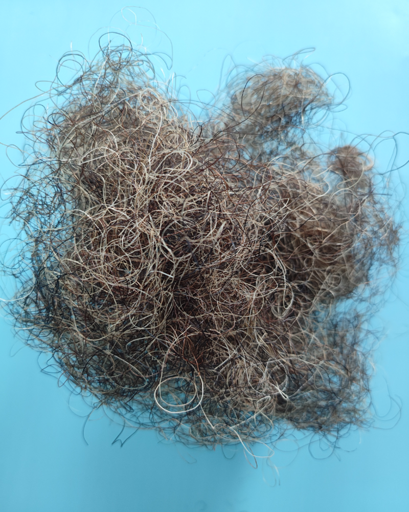 Horse hair – Sheep wool, carbonized wool, wool top, carded wool, wool ...