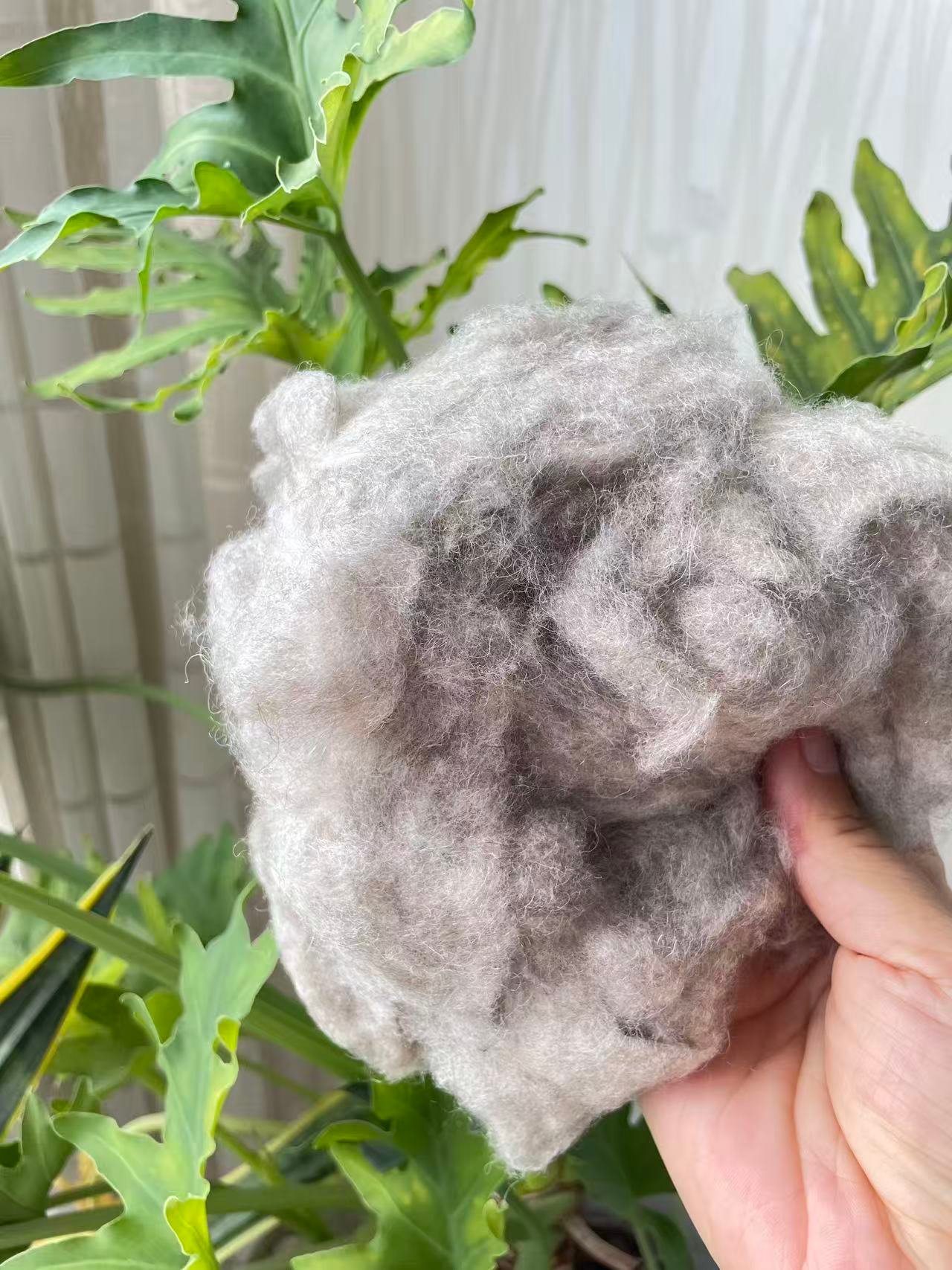 Natural Gray Combed Sheep Wool – Premium Quilt & Duvet Filling
