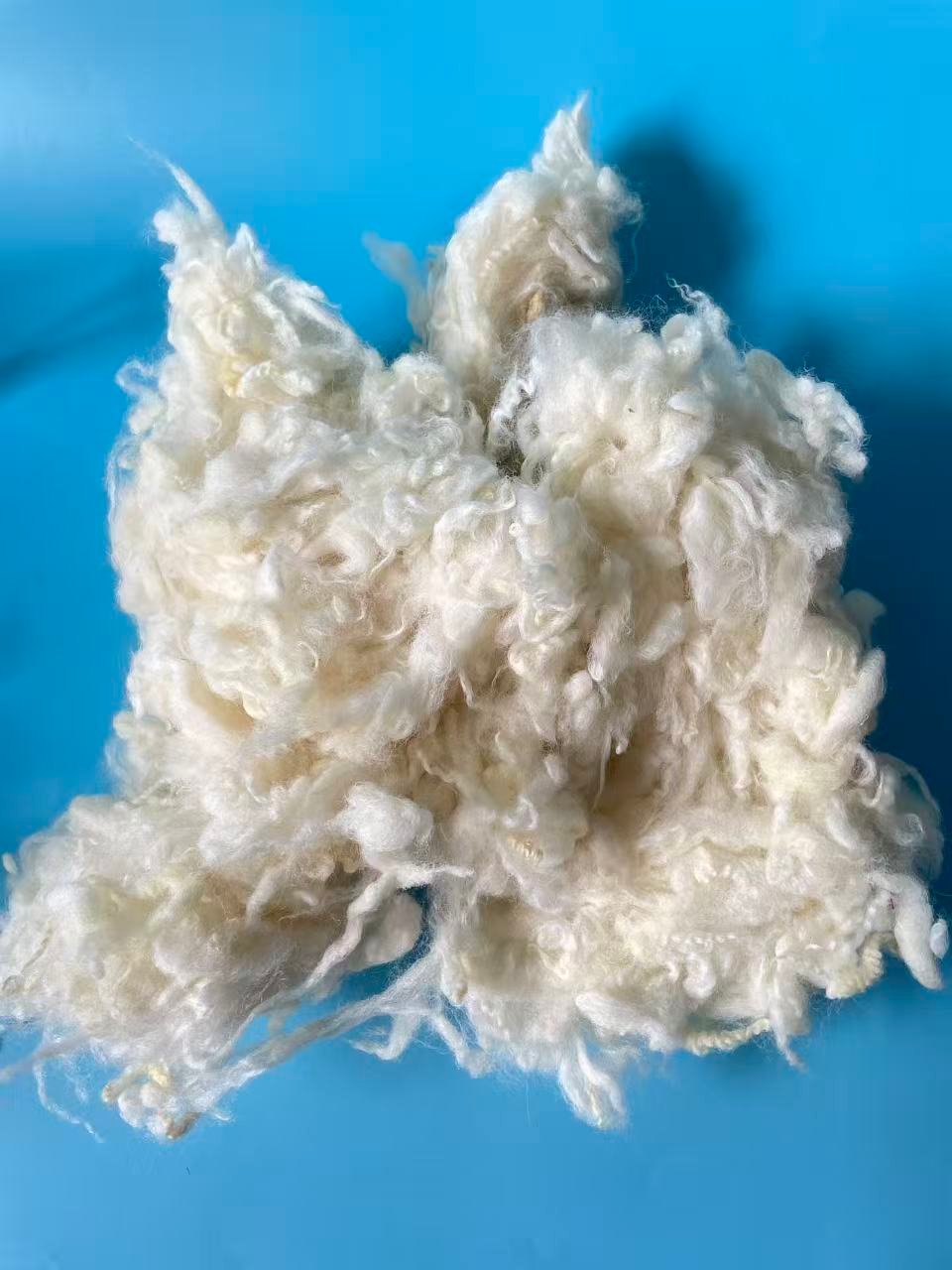 New Zealand Carbonized Coarse Wool | 2–3", 30 μm, Ultra-Clean for ...