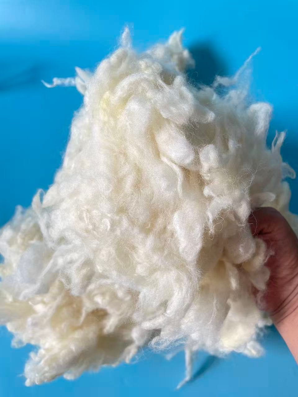 New Zealand Carbonized Coarse Wool | 2–3", 30 μm, Ultra-Clean for ...