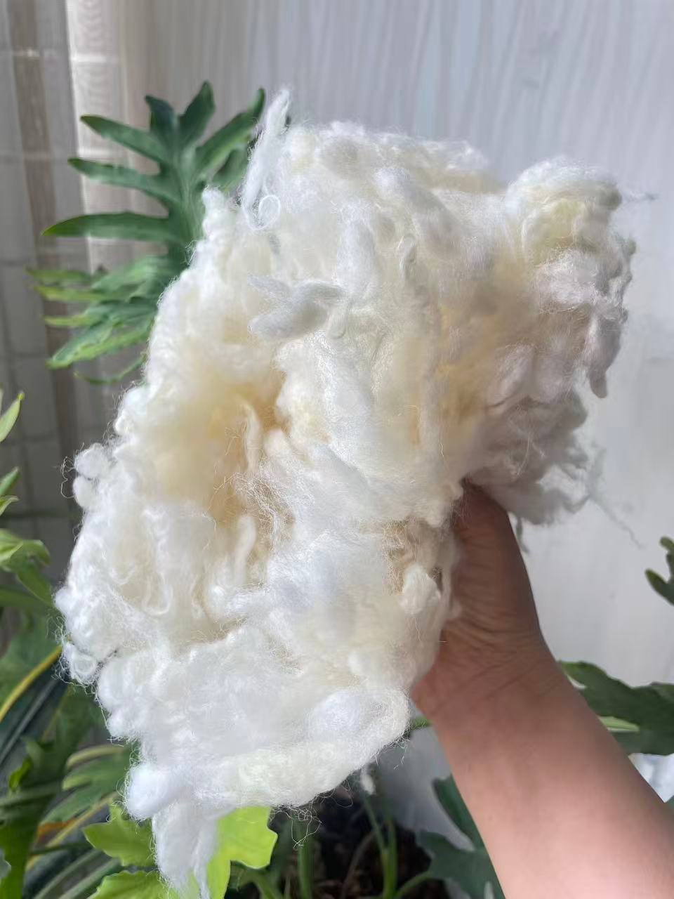 New Zealand Carbonized Coarse Wool | 2–3", 30 μm, Ultra-Clean for ...