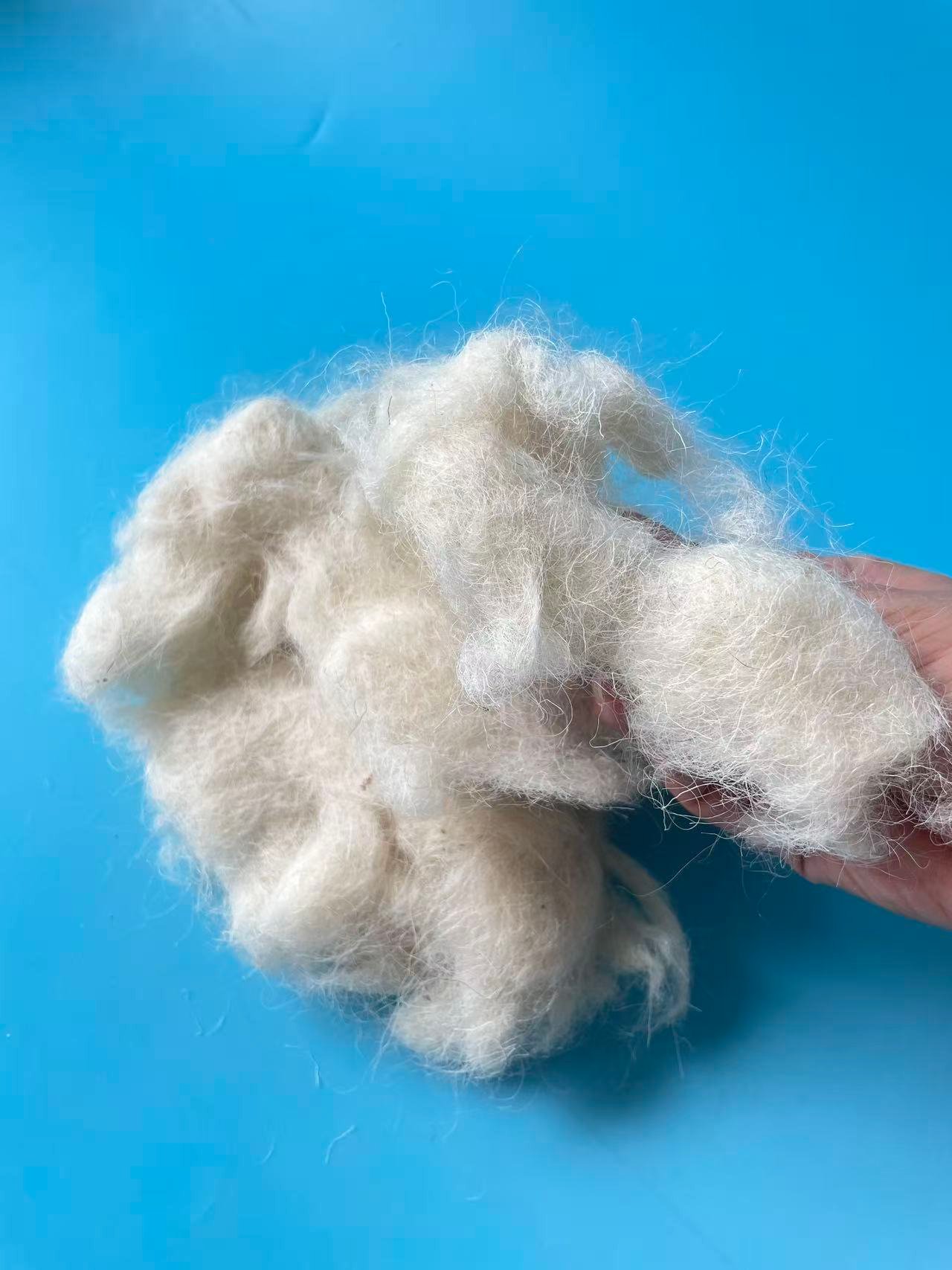 Carded Sheep Wool for Carpet Yarn Making - Sheep wool, carbonized wool ...