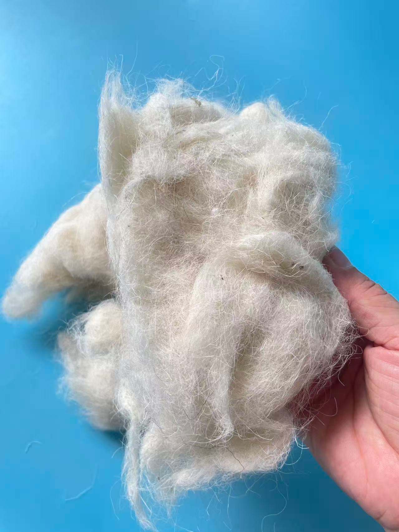 Carded Sheep Wool for Carpet Yarn Making - Sheep wool, carbonized wool ...