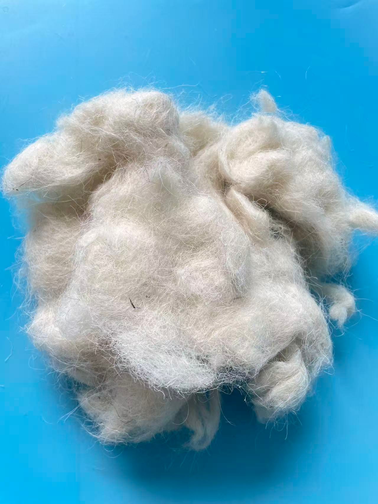 Carded Sheep Wool for Carpet Yarn Making - Sheep wool, carbonized wool ...